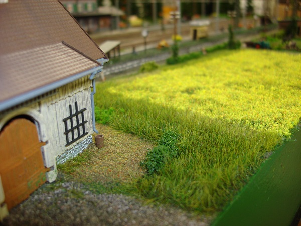 Modellbahn und Begrasung